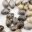 Premium Feminized Cannabis Seeds - Pacific Seed Bank