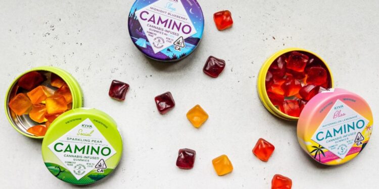 We Break Down The 5 Stages of Edibles - Pacific Seed Bank